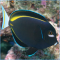 Golden Rim Tang or Whitecheek Surgeonfish | Pete's Aquariums & Fish
